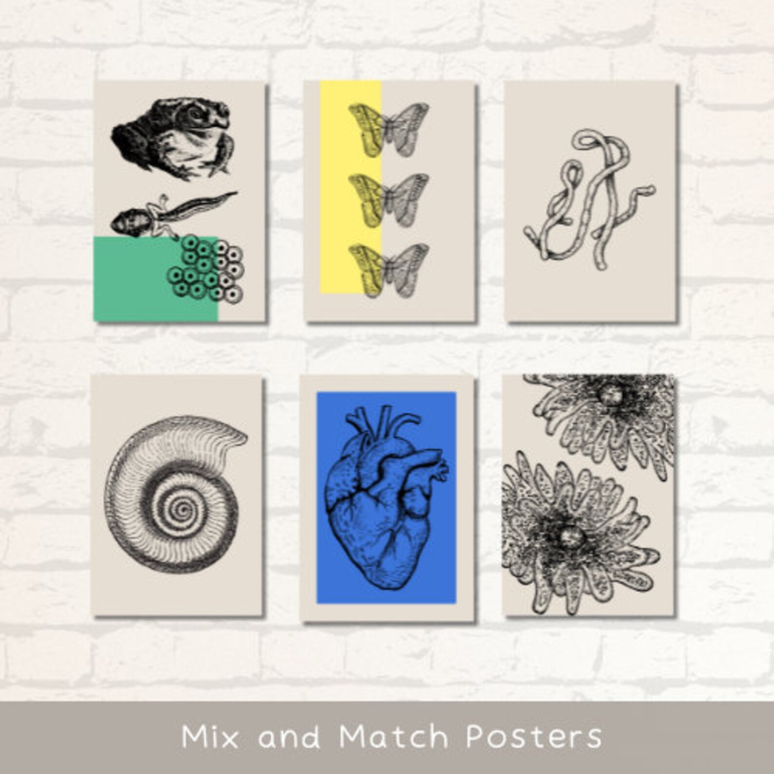 Biology Classroom Wall Art Poster Set of 18 Biology Science Printables ...