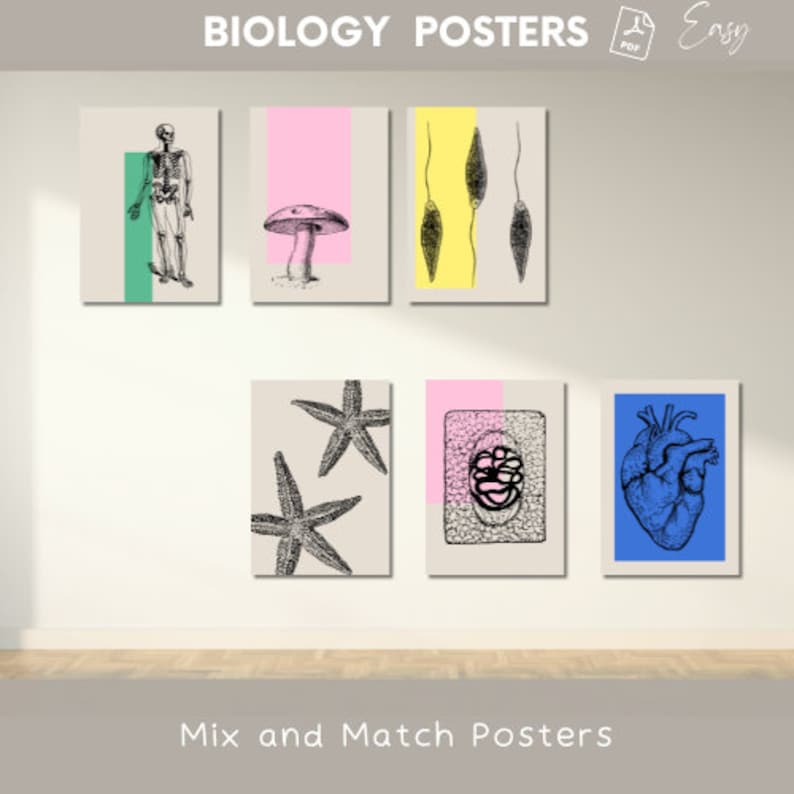 Biology Classroom Wall Art Poster Set of 18 Biology Science Printables ...