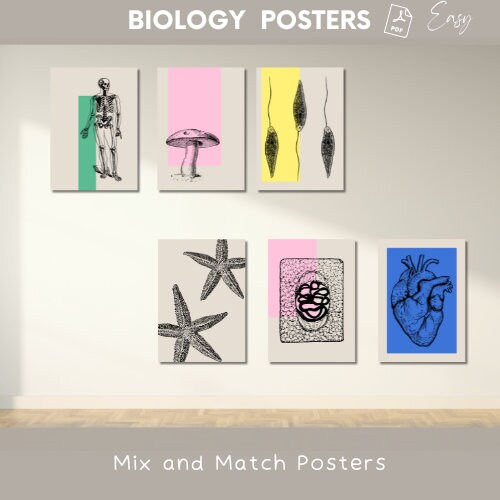 Biology Classroom Wall Art Poster Set of 18 Biology Science Printables ...