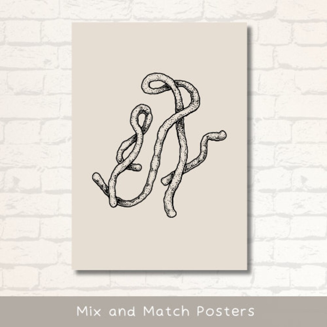 Biology Classroom Wall Art Poster Set of 18 Biology Science Printables ...