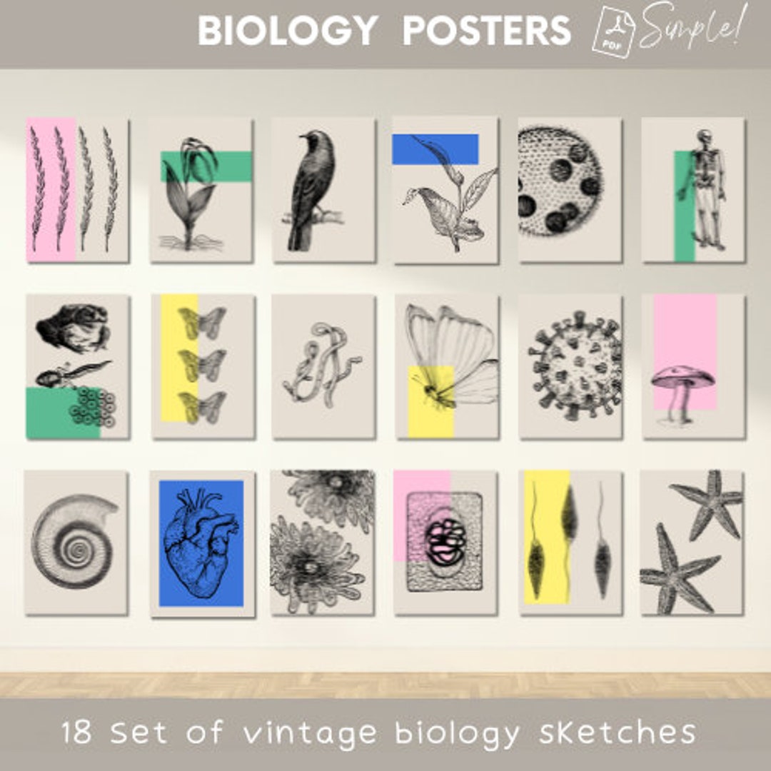 Biology Classroom Wall Art Poster Set of 18 Biology Science Printables ...