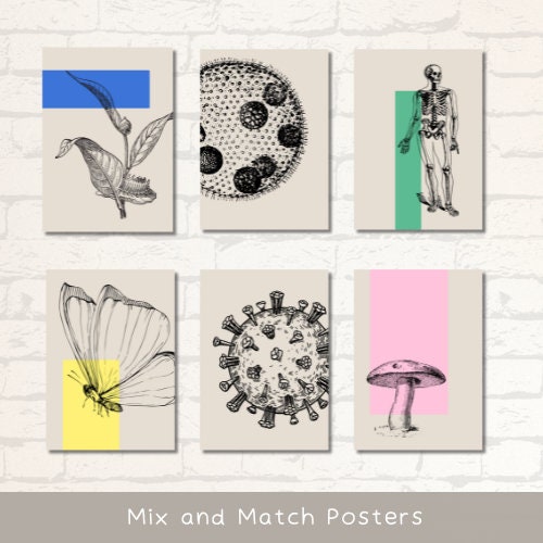 Biology Classroom Wall Art Poster Set of 18 Biology Science Printables ...