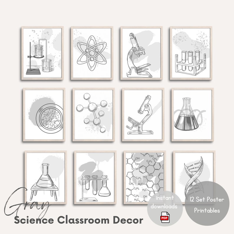 GRAY Science Classroom Decor Printable Poster Set of 12 Perfect ...