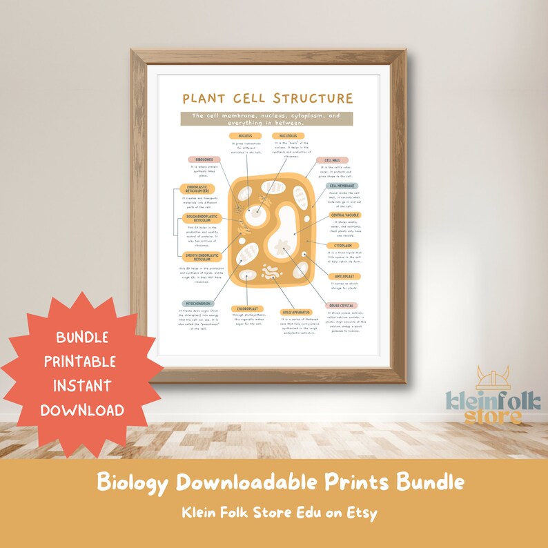 Biology Posters digital Prints Set of 9 Biology Classroom Decor, High ...