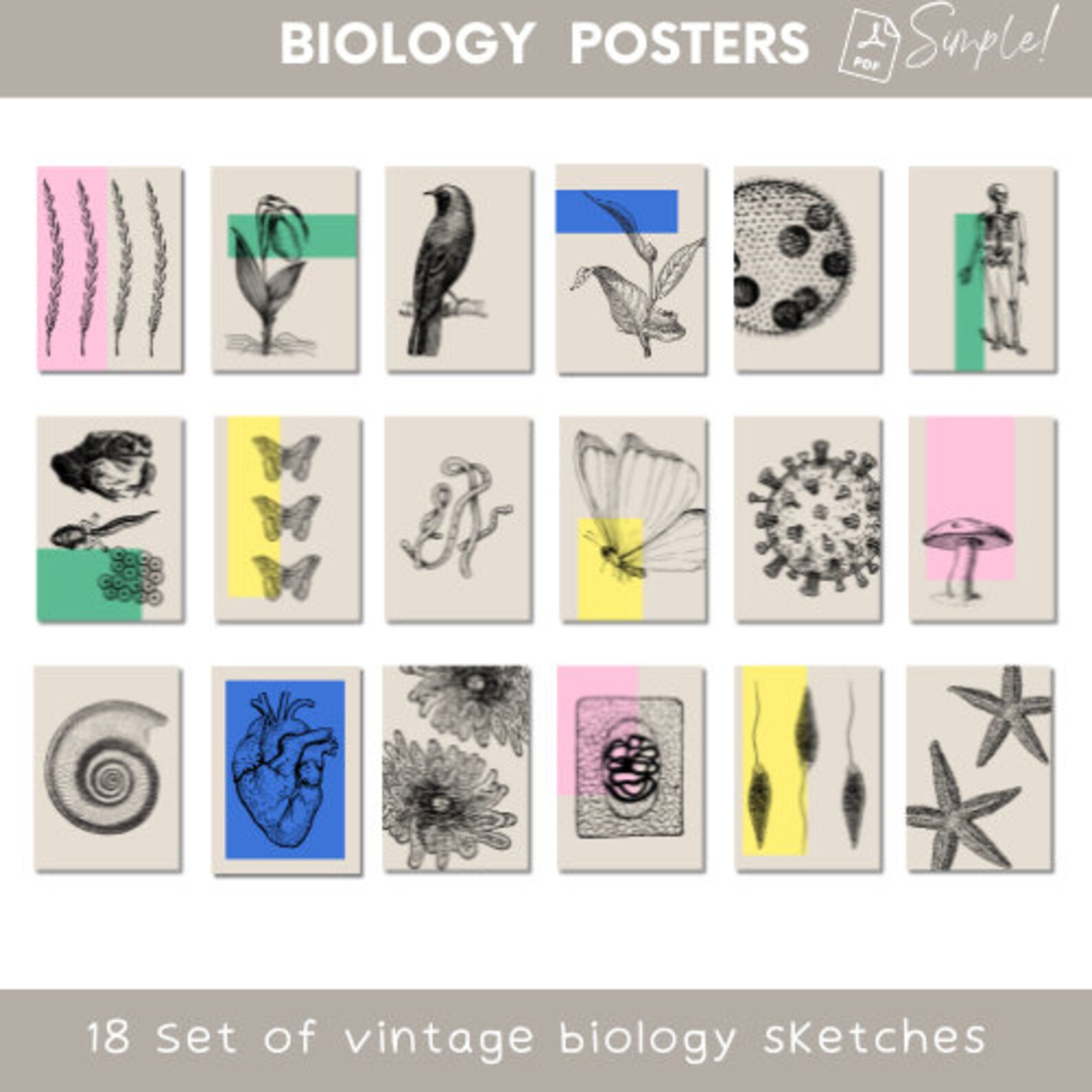 Biology Classroom Wall Art Poster Set of 18 Biology Science Printables ...