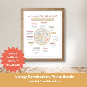 Biology Posters digital Prints Set of 9 Biology Classroom Decor, High ...