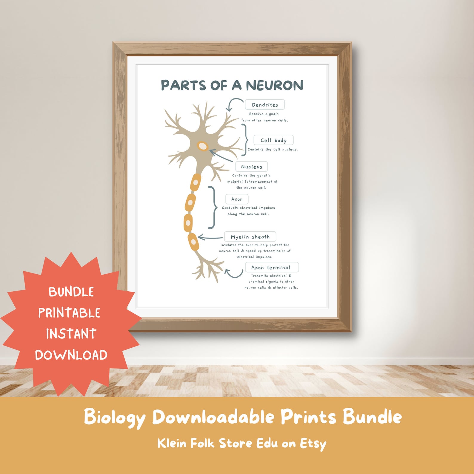 Biology Posters digital Prints Set of 9 Biology Classroom Decor, High ...