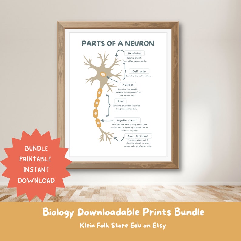 Biology Posters digital Prints Set of 9 Biology Classroom Decor, High ...