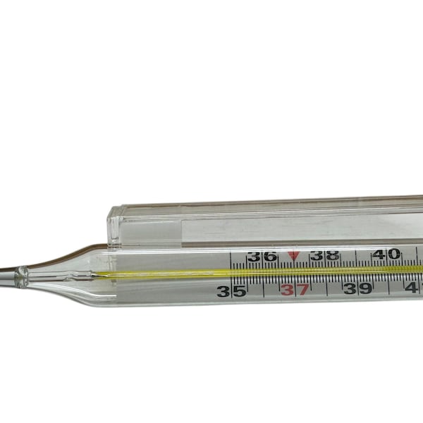 Vintage Thermometer - Etsy