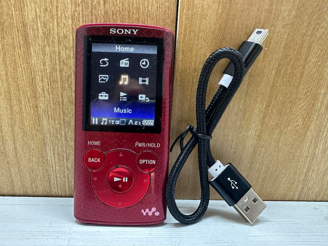 Vintage Sony Walkman Digital Media Musical Player NWZ-E384 MP3 Radio ...