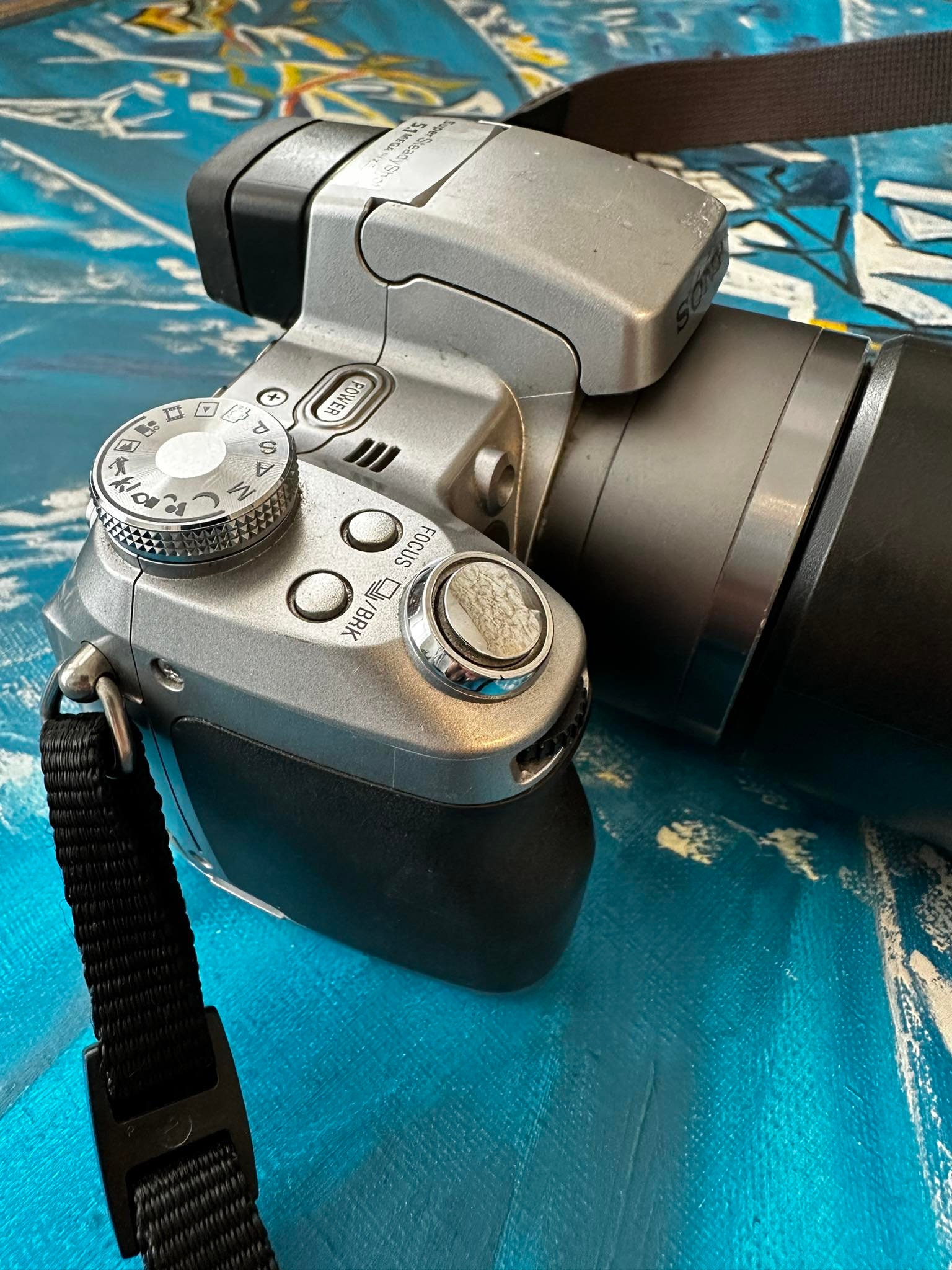 Professional Sony Cybershot Digital Camera Dsc-h1 5.1 Mp 12X - Etsy