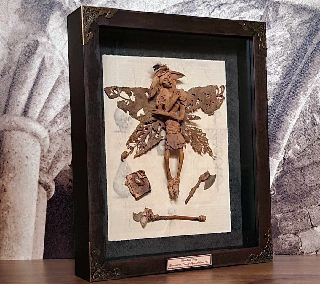 Mummified Fairy Woodland Fairy Curiosity Glass Framed - Etsy