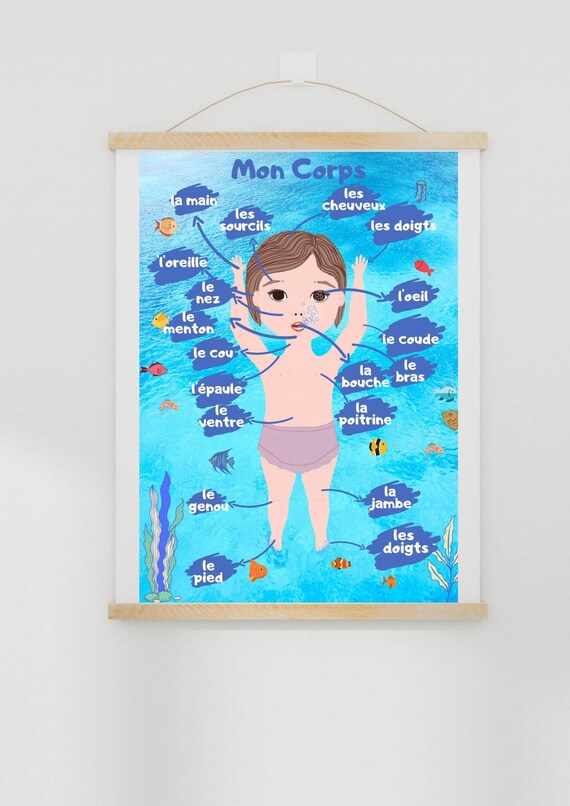 Poster of Body Parts in French / Affiche Des Parties Du Corps - Etsy