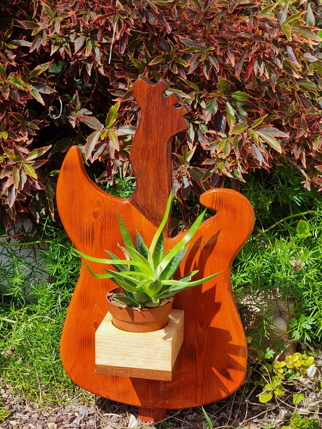 Cactus Guitar Planter - Etsy