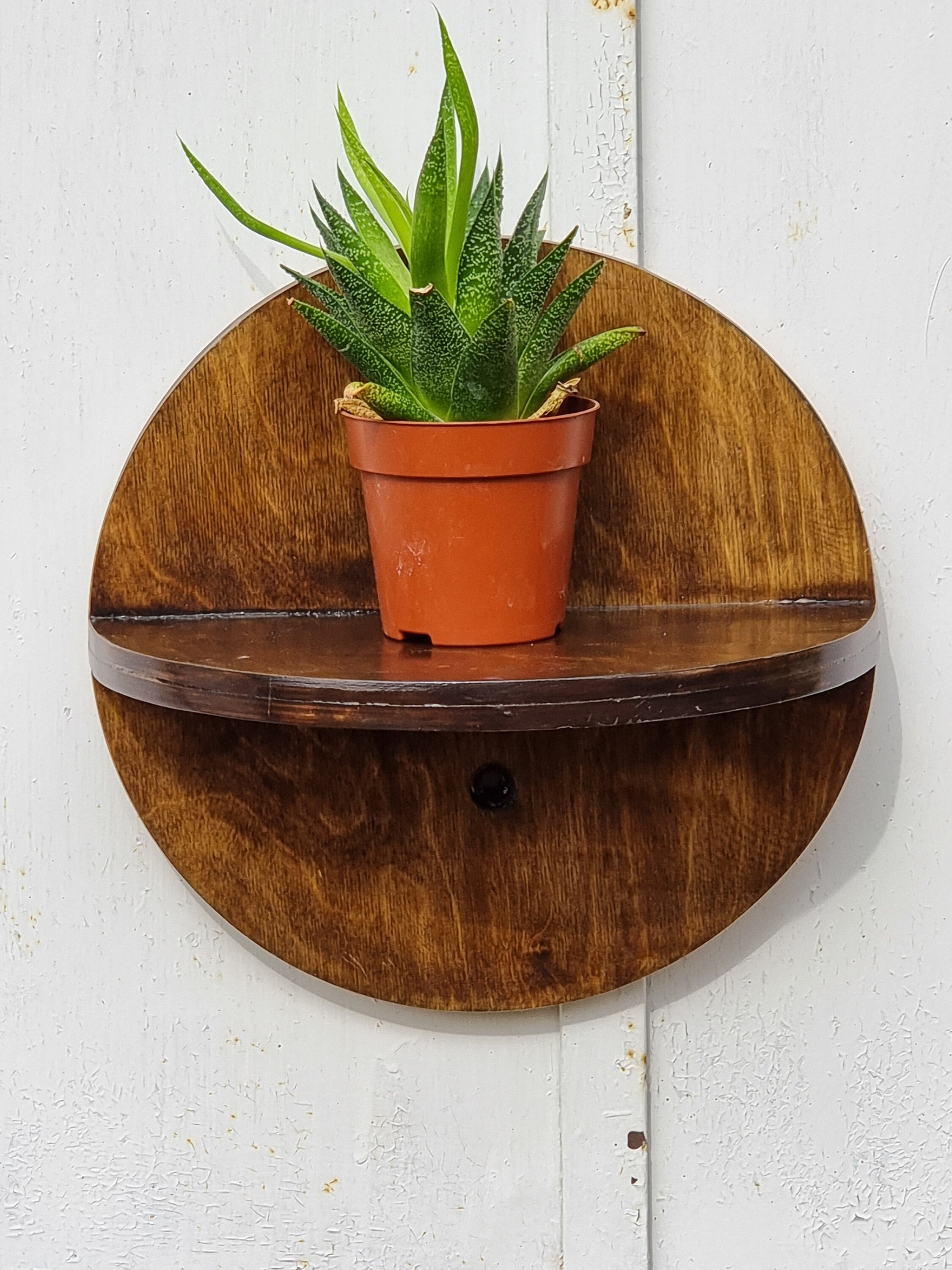 Wall Round Shelf - Etsy