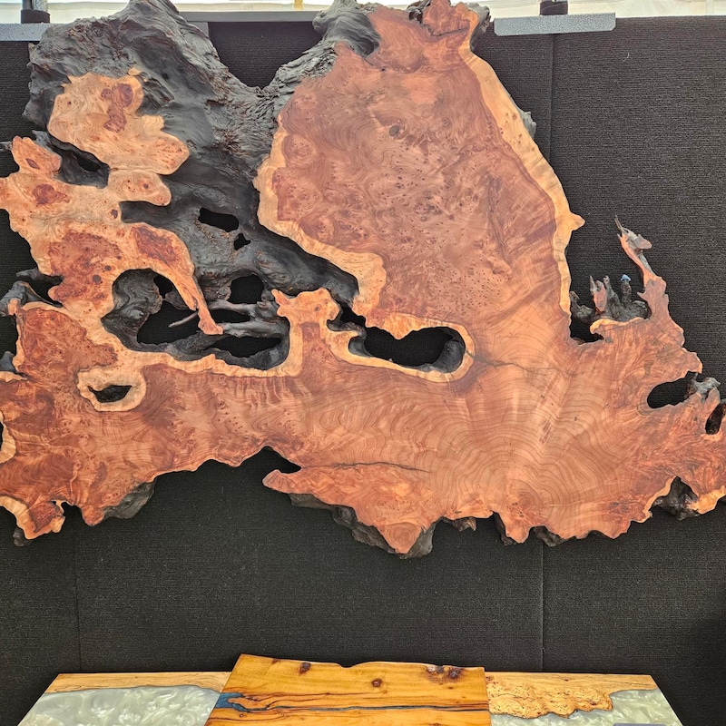 Burl Wall Art - Etsy