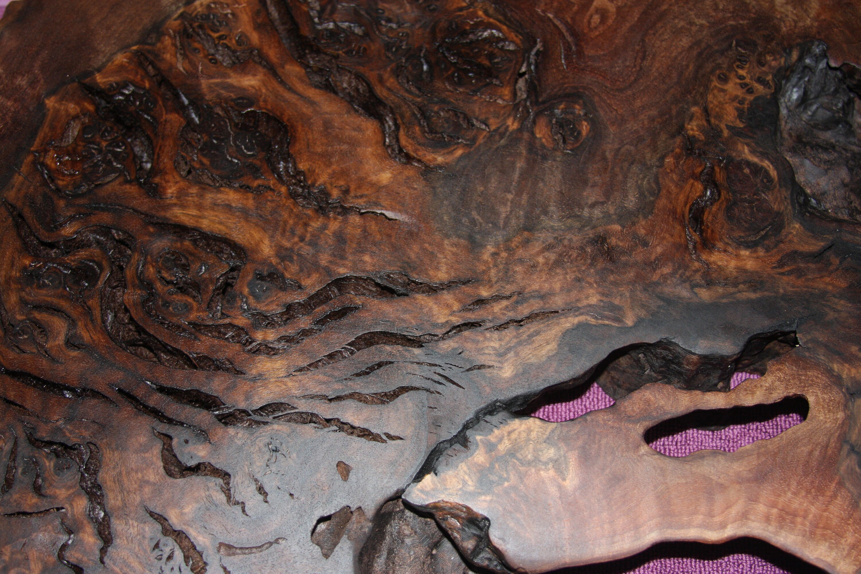 Walnut Boars Head - Etsy