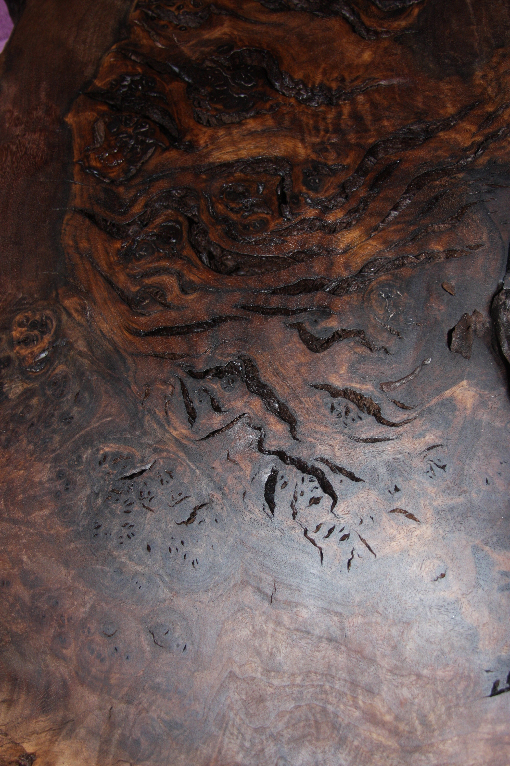 Walnut Boars Head - Etsy