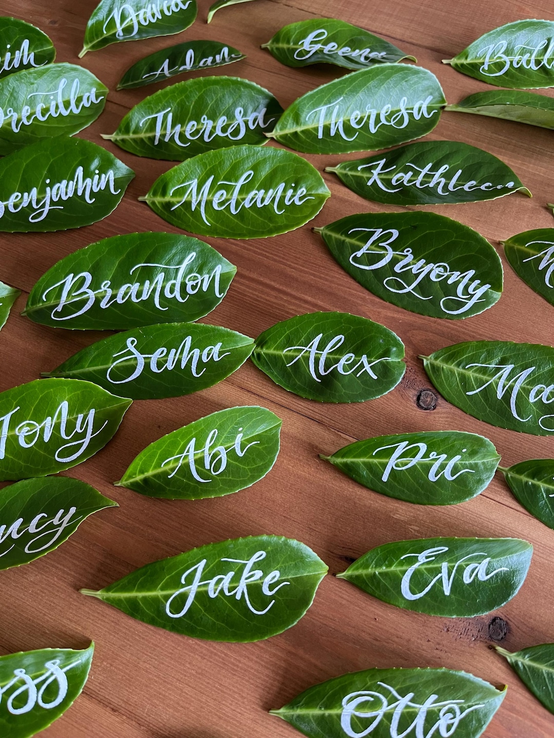 Calligraphy Leaf Place Cards: Real Laurel Leaves, Wedding Place Setting ...