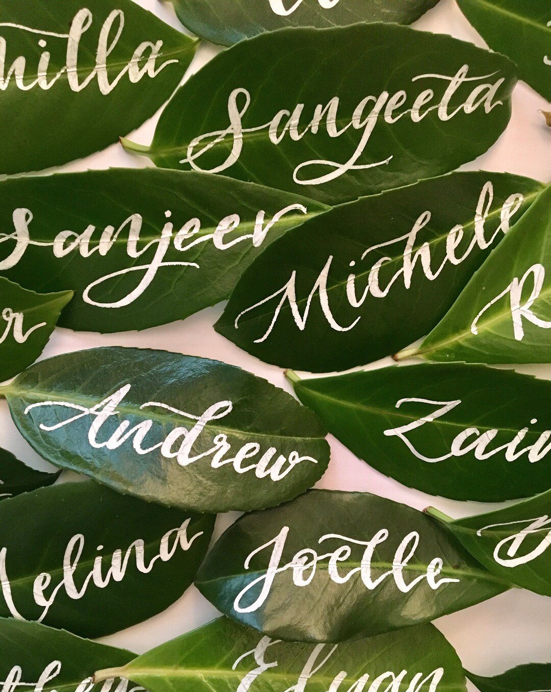 Real Leaf Place Setting Calligraphy Leaf Place Card - Etsy
