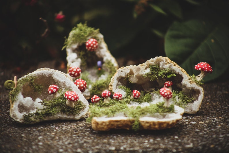 Crystal Mushroom Garden- Hollow 3" Half Moroccan Quartz Geode With ...