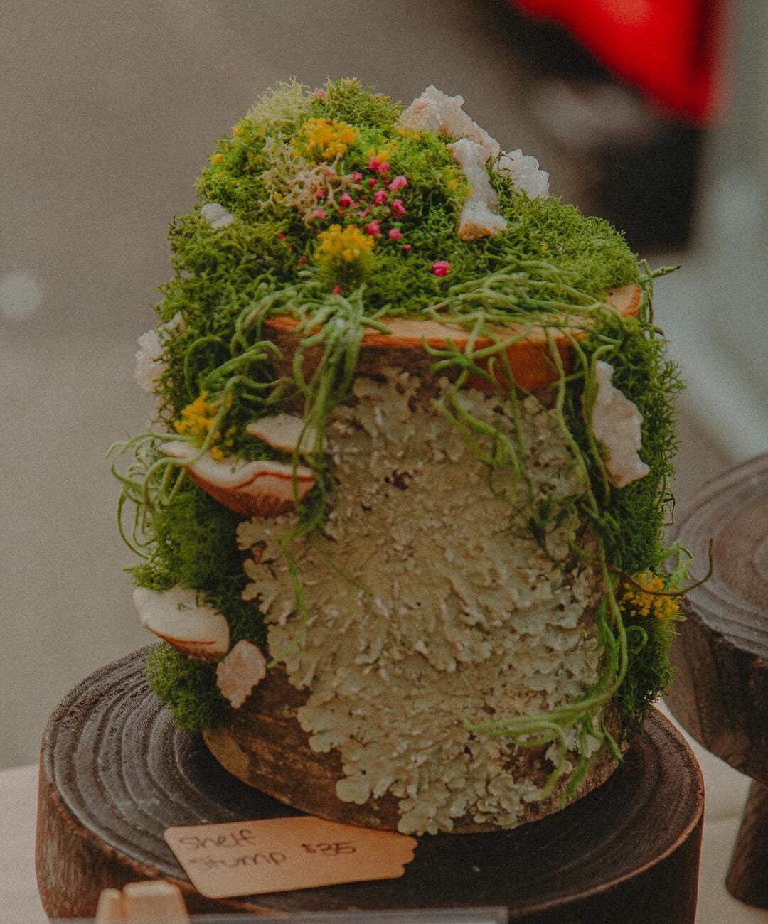 Shelf Stumps Natural Wood Stumps With Handmade Ceramic Mushrooms ...