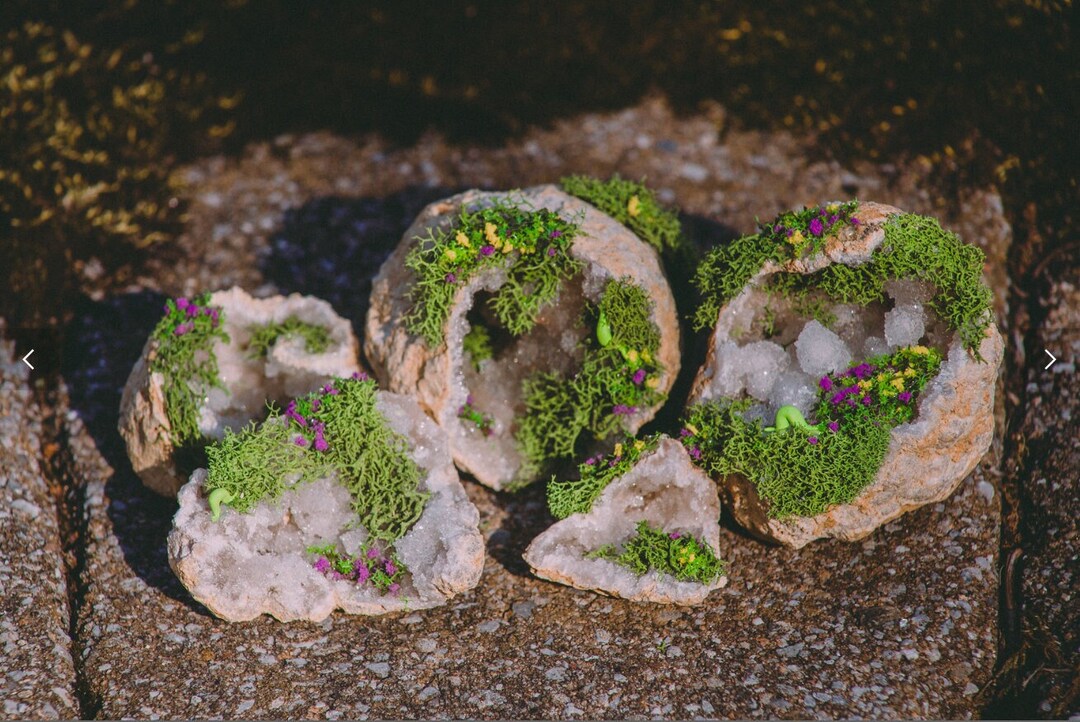 Floral Geode- Moroccan Quartz Geode With Handcrafted Spring Garden ...
