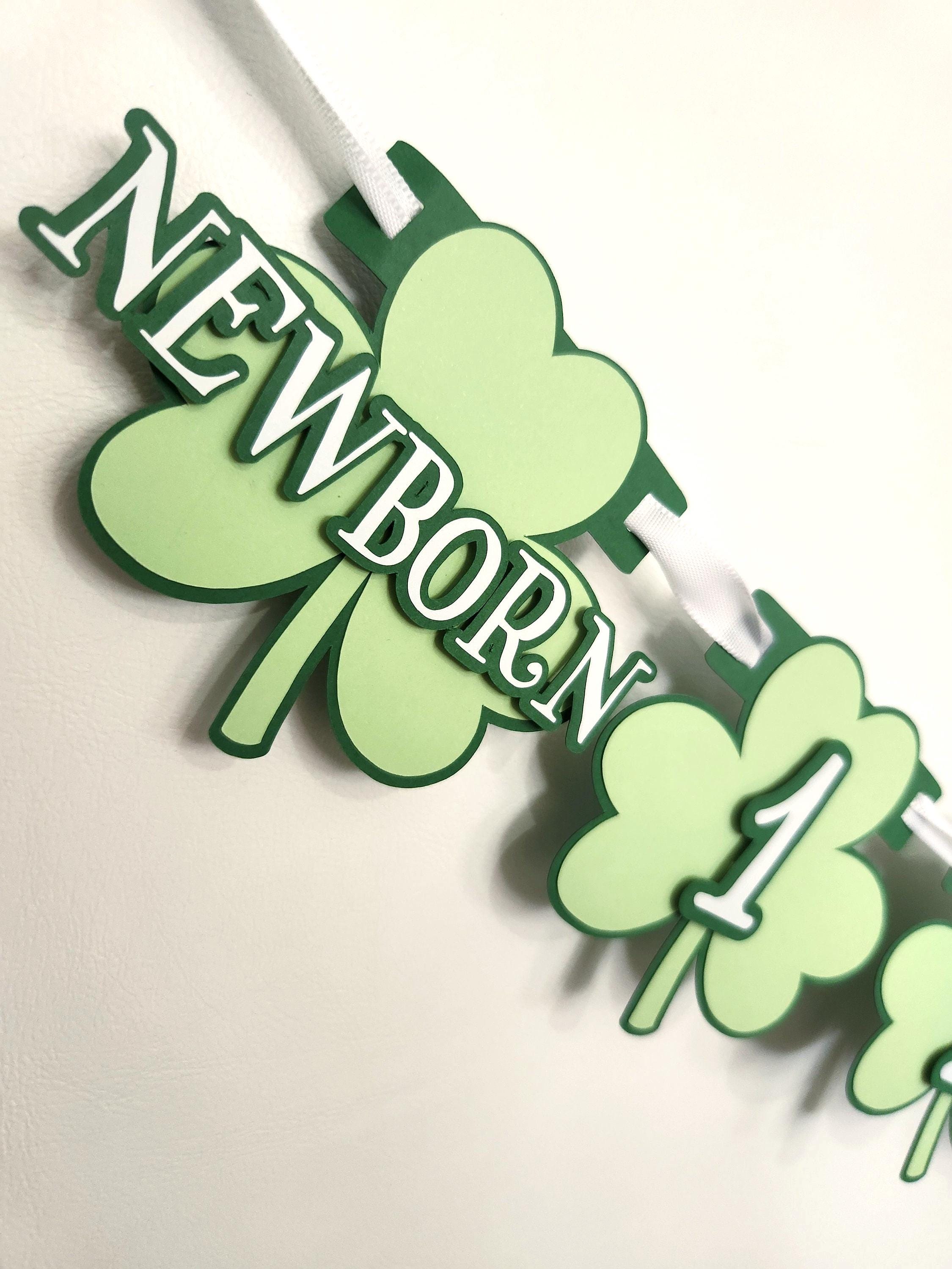 Lucky One Milestone Birthday Banner Monthly Milestone St Patrick's ...