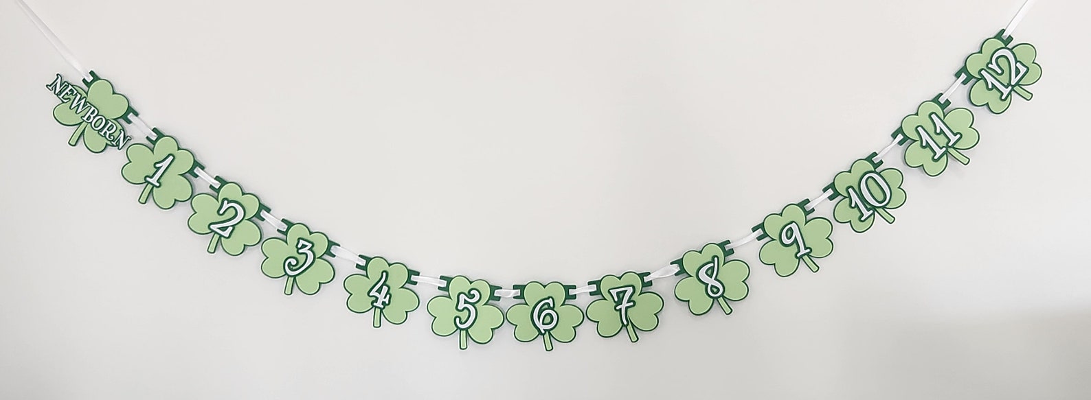 Lucky One Milestone Birthday Banner Monthly Milestone St Patrick's ...