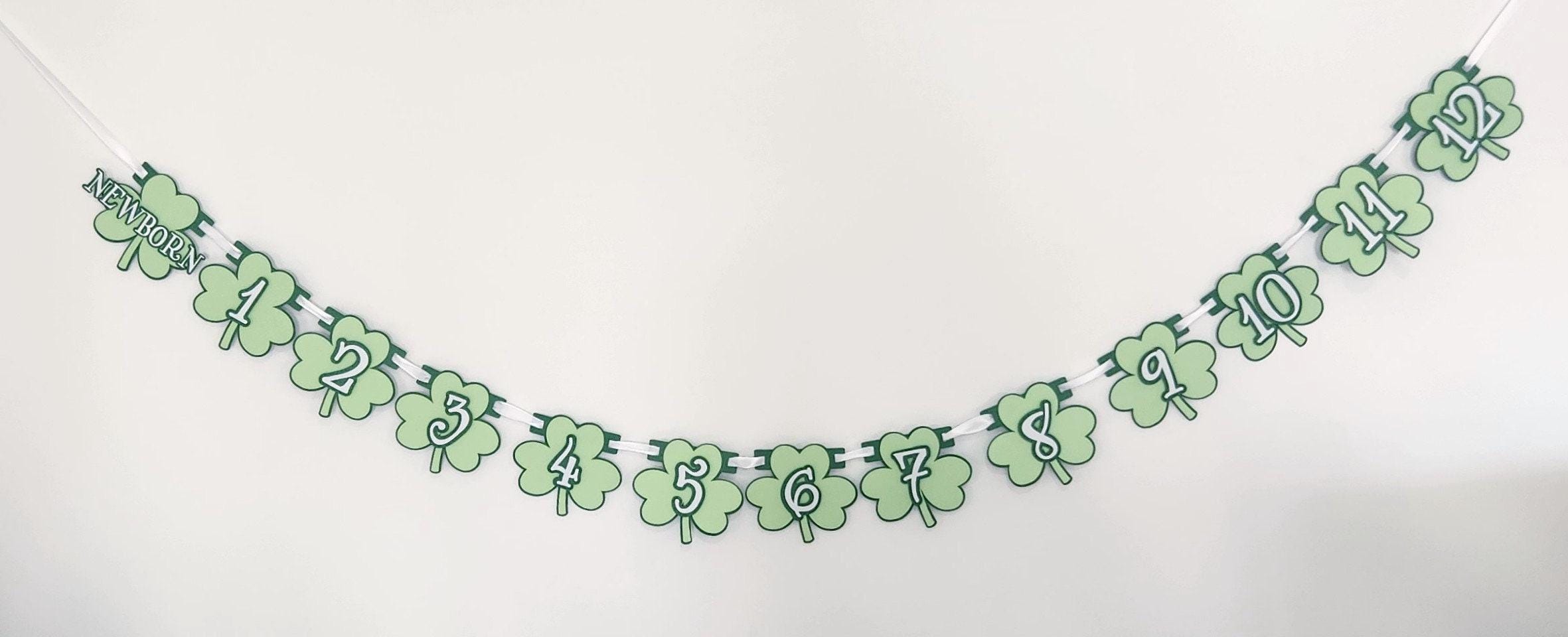 Lucky One Milestone Birthday Banner Monthly Milestone St Patrick's ...
