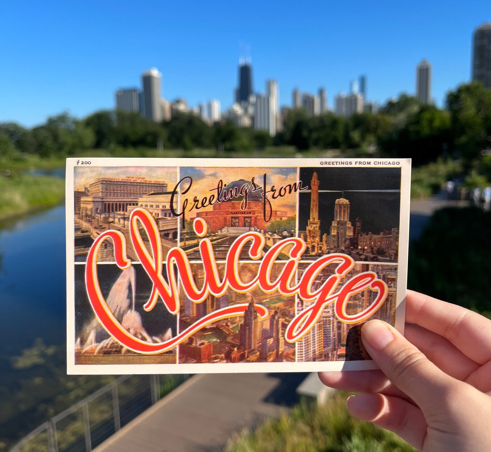 Vintage Chicago Postcard | Greetings From Chicago - Etsy