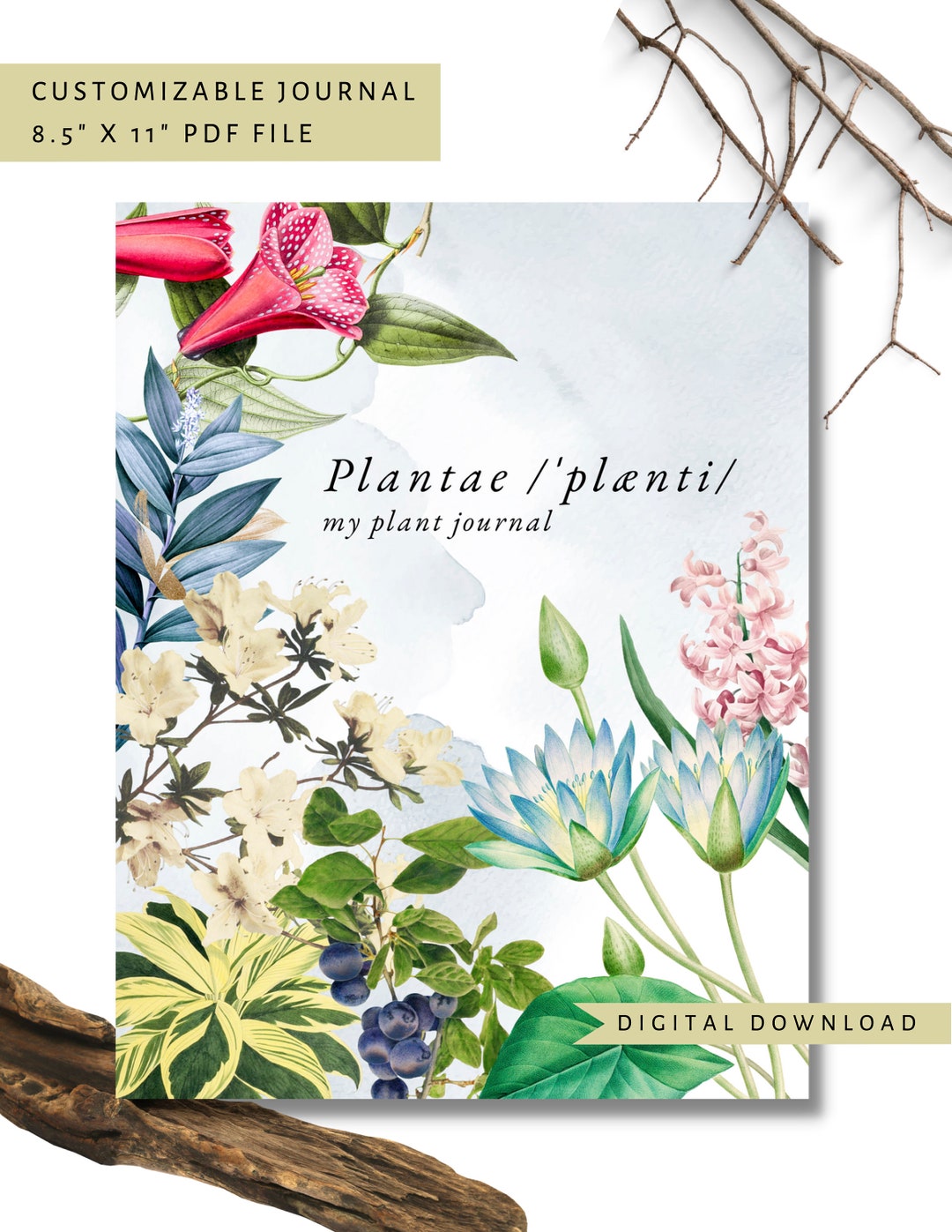 PDF Plant Nature Journal Charlotte Mason Classical Education Science ...