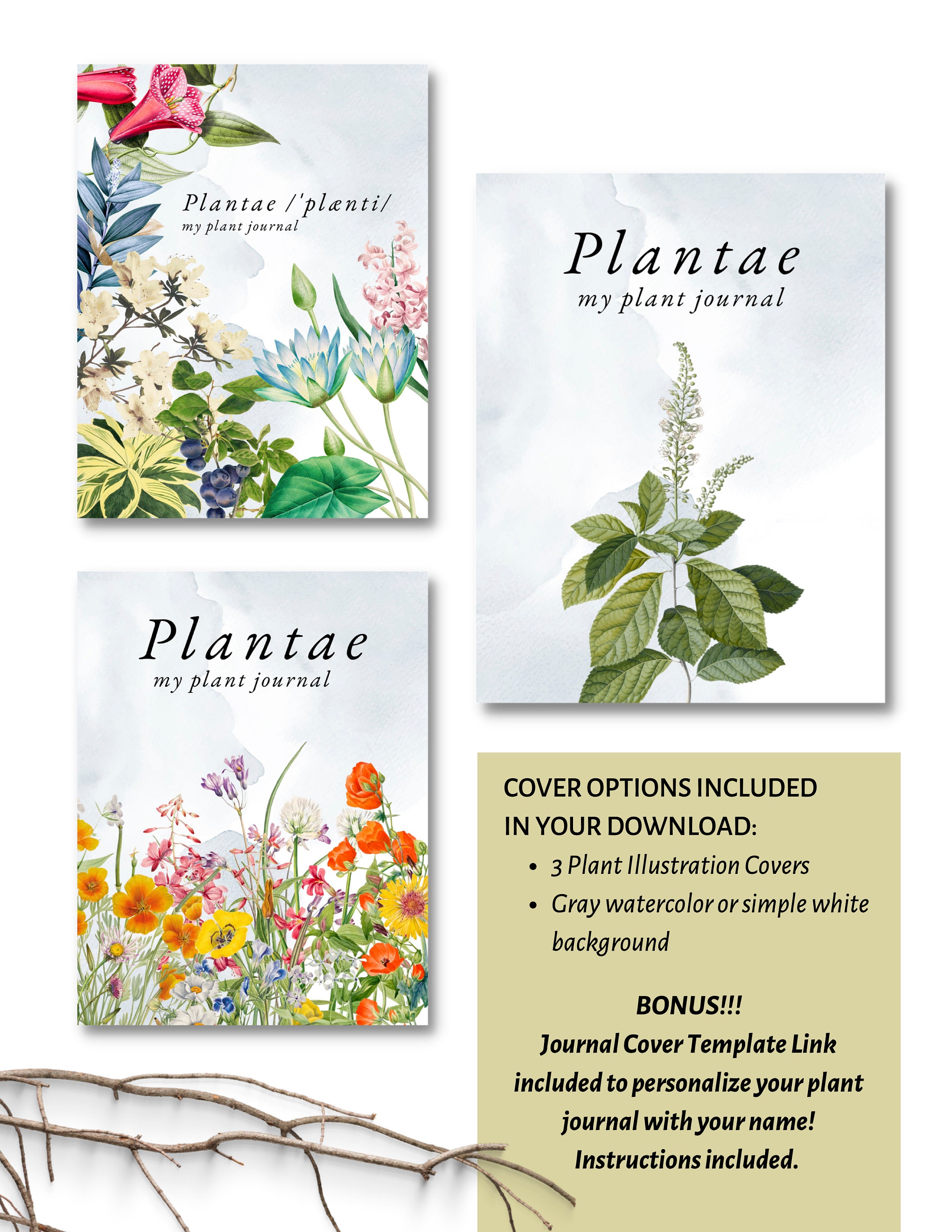 PDF Plant Nature Journal Charlotte Mason Classical Education Science ...