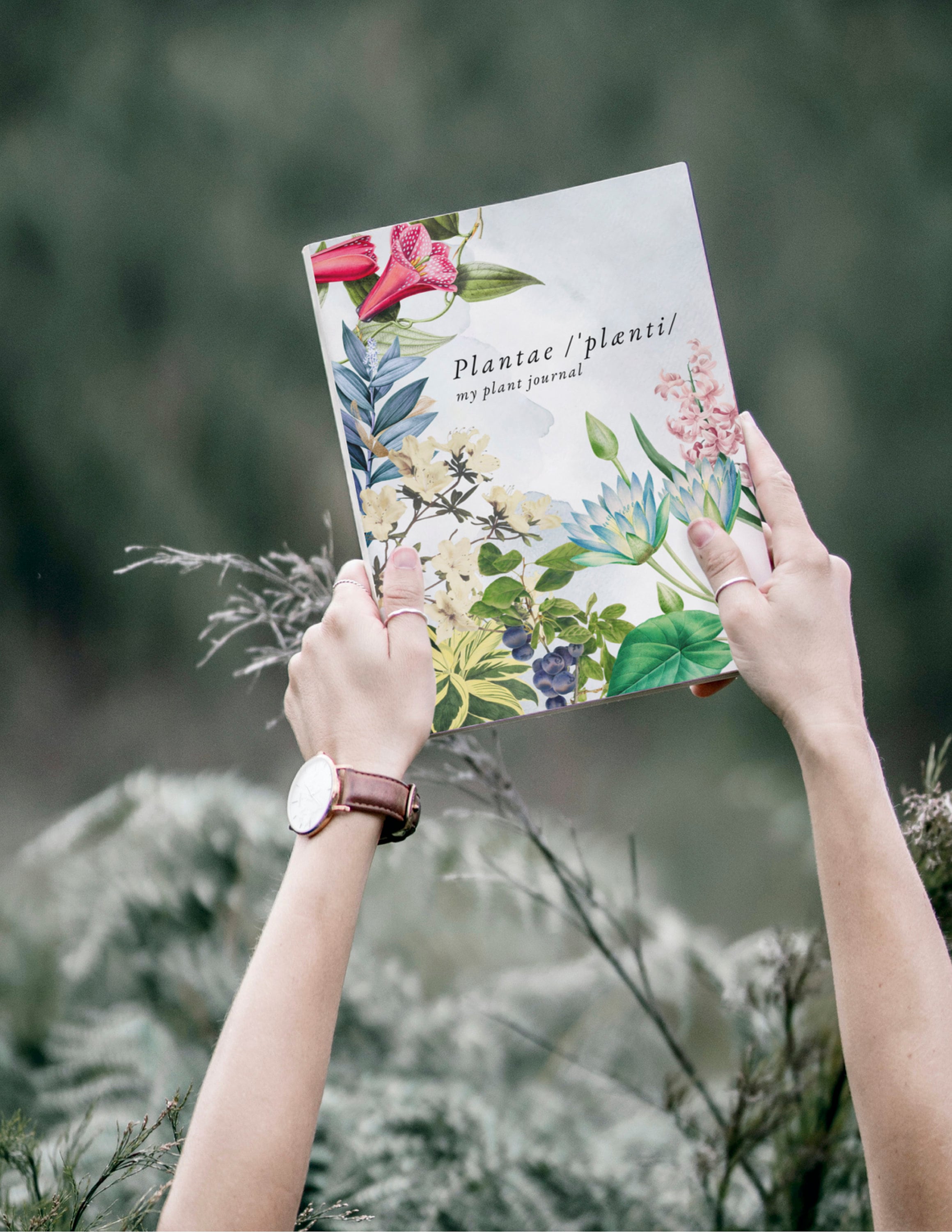 PDF Plant Nature Journal Charlotte Mason Classical Education Science ...