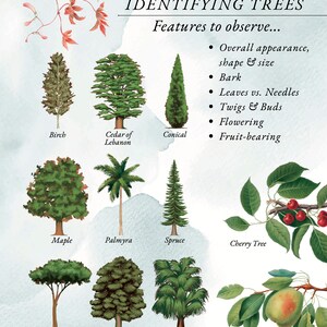 PDF Plant Nature Journal Charlotte Mason Classical Education Science ...