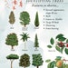 PDF Plant Nature Journal Charlotte Mason Classical Education Science ...