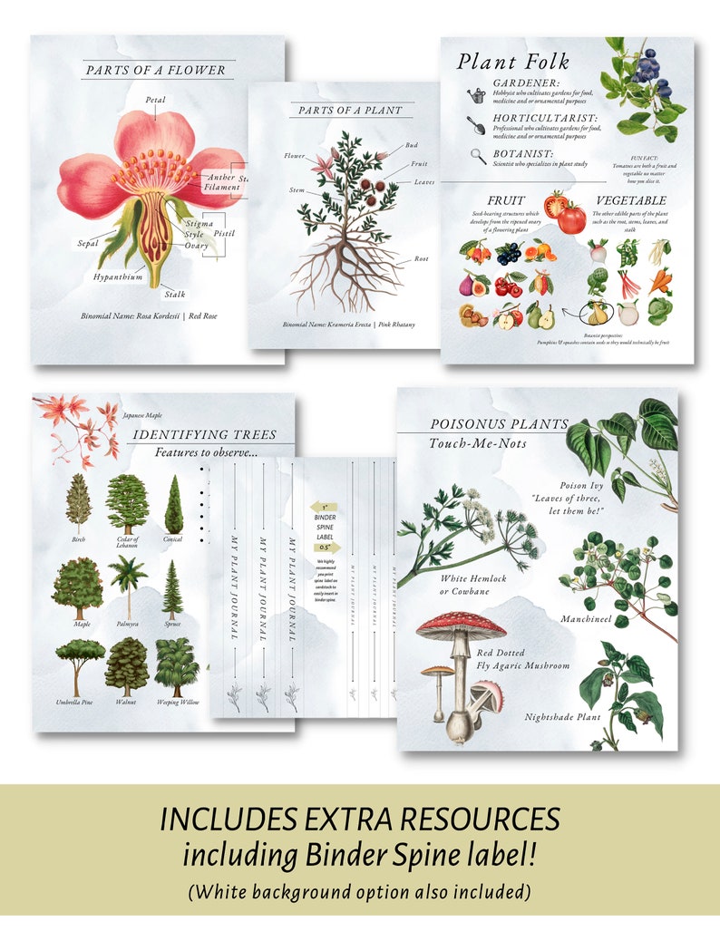 PDF Plant Nature Journal Charlotte Mason Classical Education Science ...