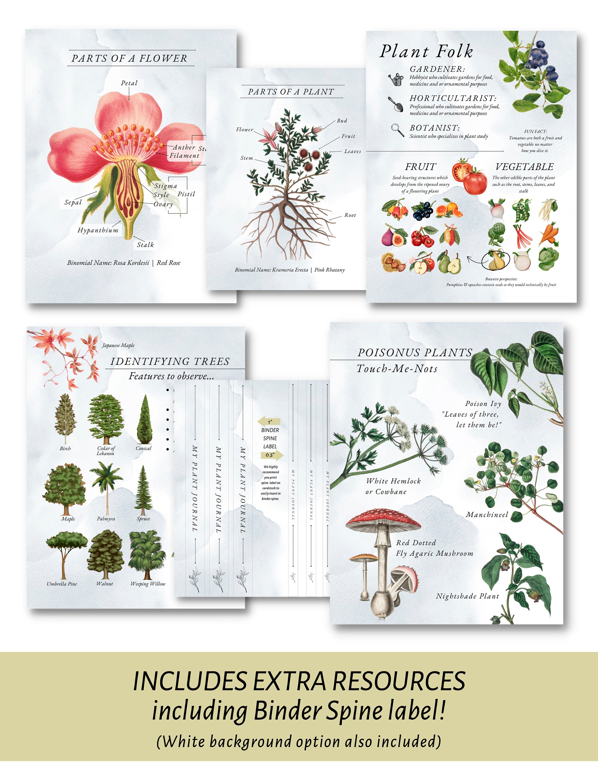 PDF Plant Nature Journal Charlotte Mason Classical Education Science ...