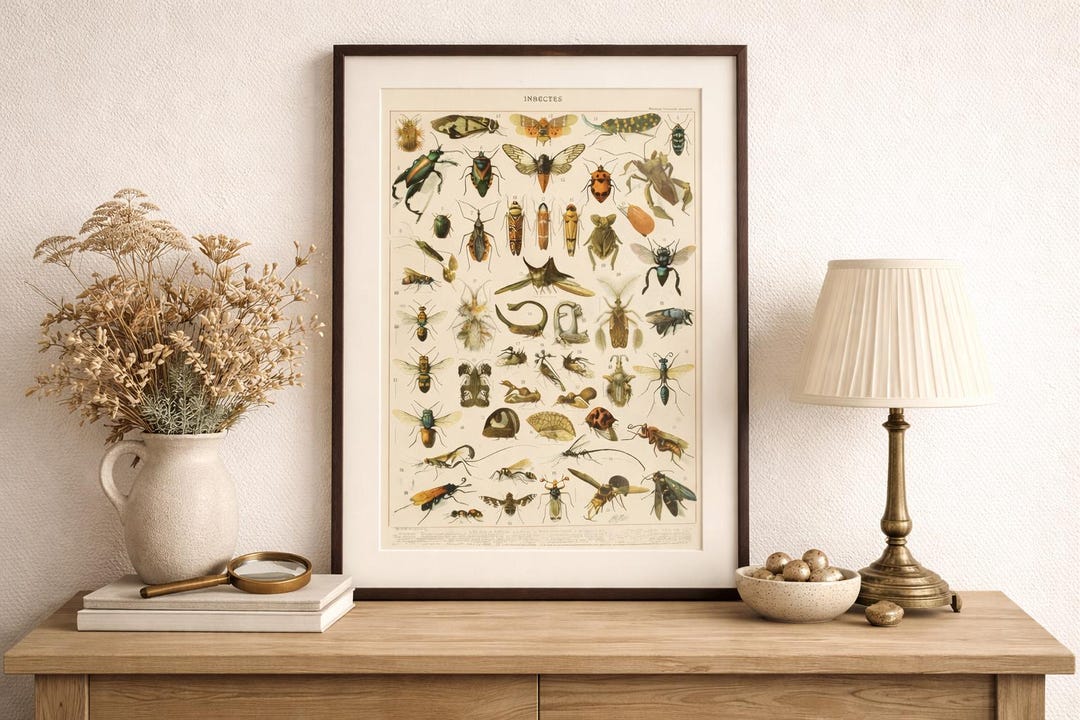 Vintage Insect Illustration Printable | Antique Entomology Wall Art ...