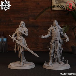 Vampire Fighters Fantasy Tabletop Miniature 28MM 100MM Dungeons and ...