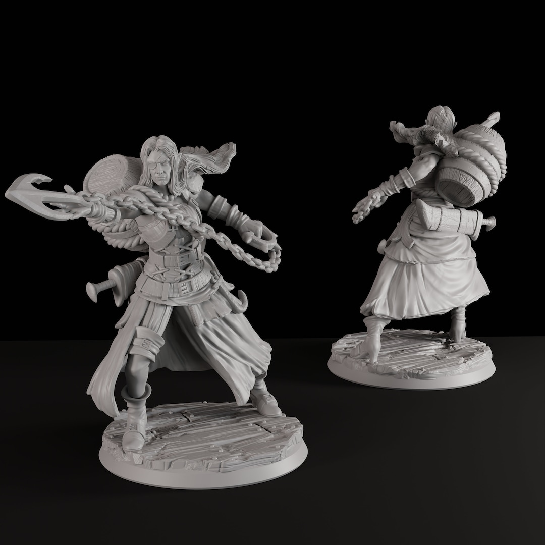 Dark Elf Pirate Fantasy Tabletop Miniature 28MM 100MM - Etsy