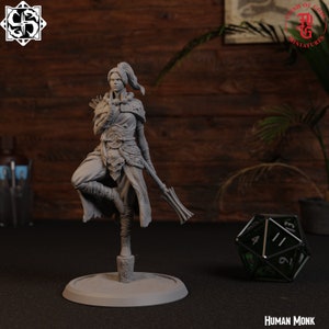 Female Monk Fantasy Tabletop Miniature 28MM 100MM Dungeons and Dragons ...
