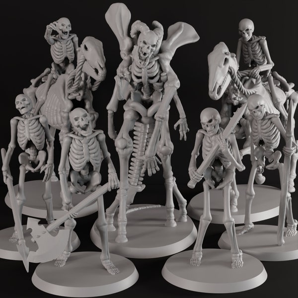 Dnd Skeleton Miniatures - Etsy