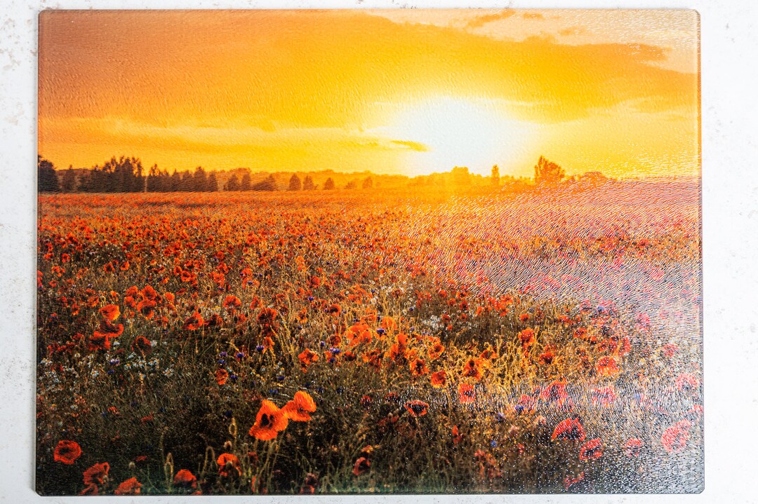 Poppy Field / Sunset / Cotswolds / Glass Chopping Board / Worktop ...