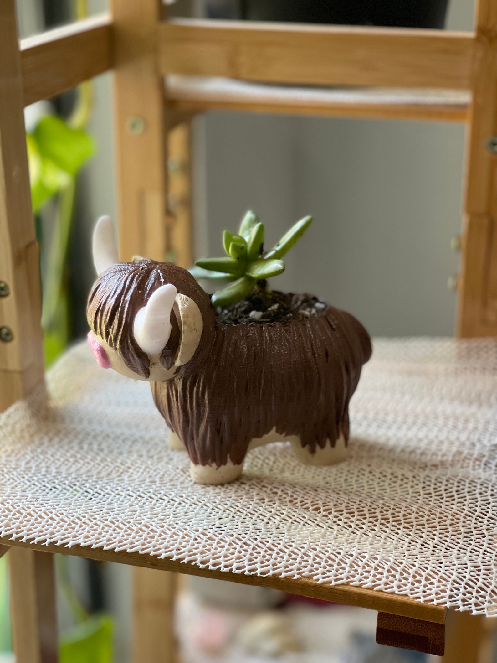 Highland Cow Pot Plant Custom Succulent Stand Indoor Inches Tall - Etsy