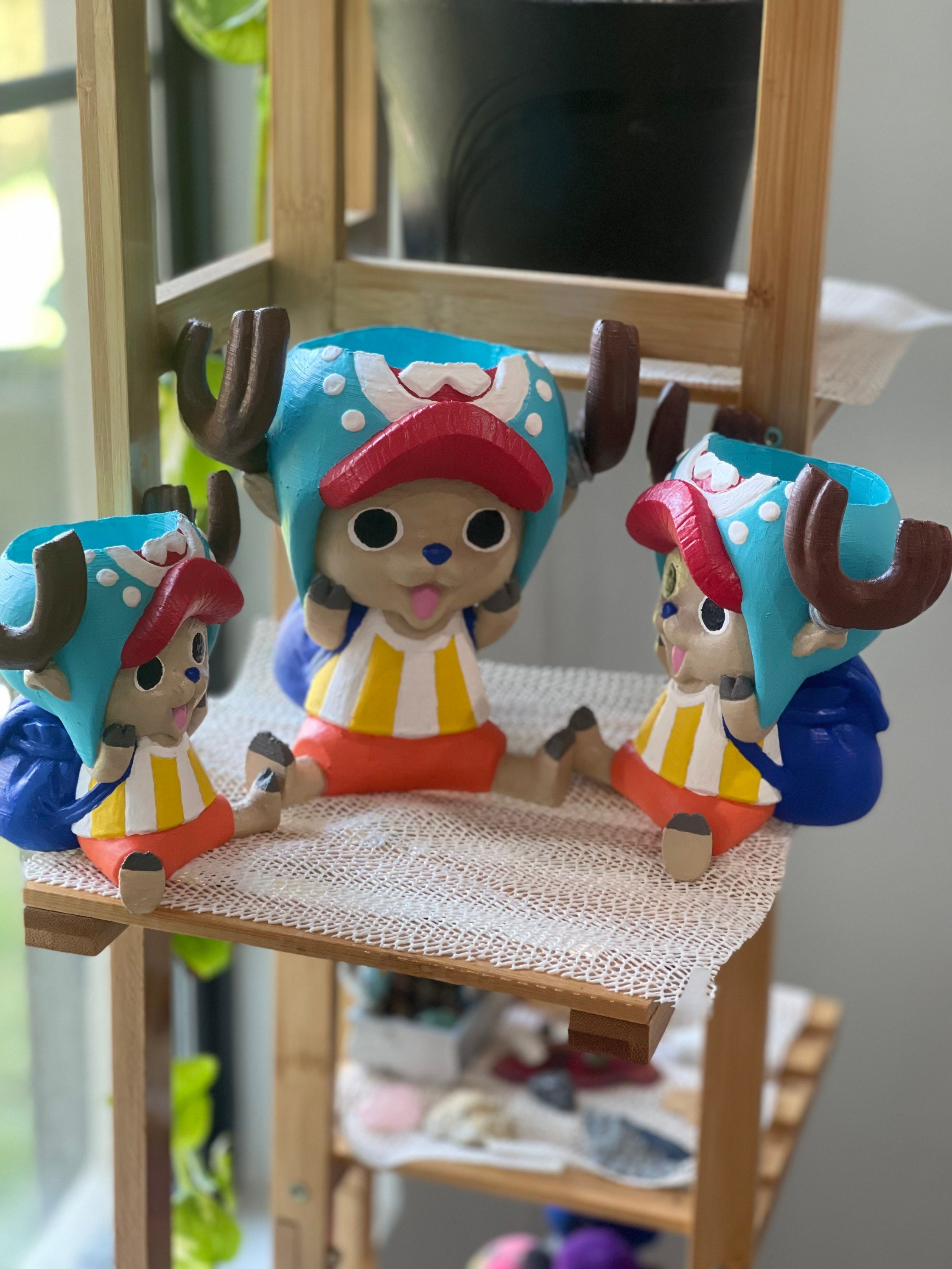 Anime Piece Character Pot Plant Custom Succulent Stand Indoor - Etsy