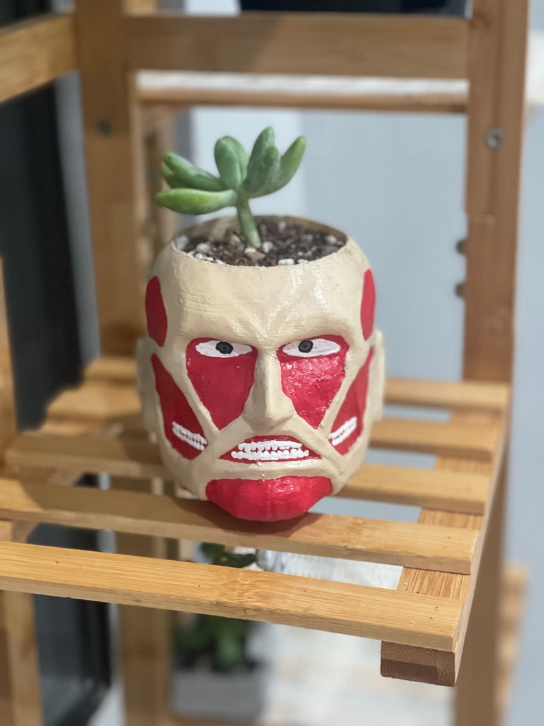 Face Pot Plant Custom Succulent Stand Indoor Inches Tall - Etsy