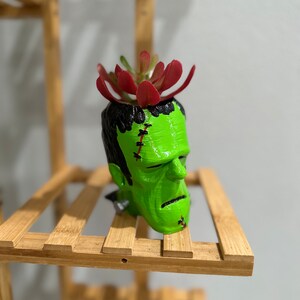 Frankenstein Head Pot Plant Custom Succulent Stand Indoor Inches Tall ...