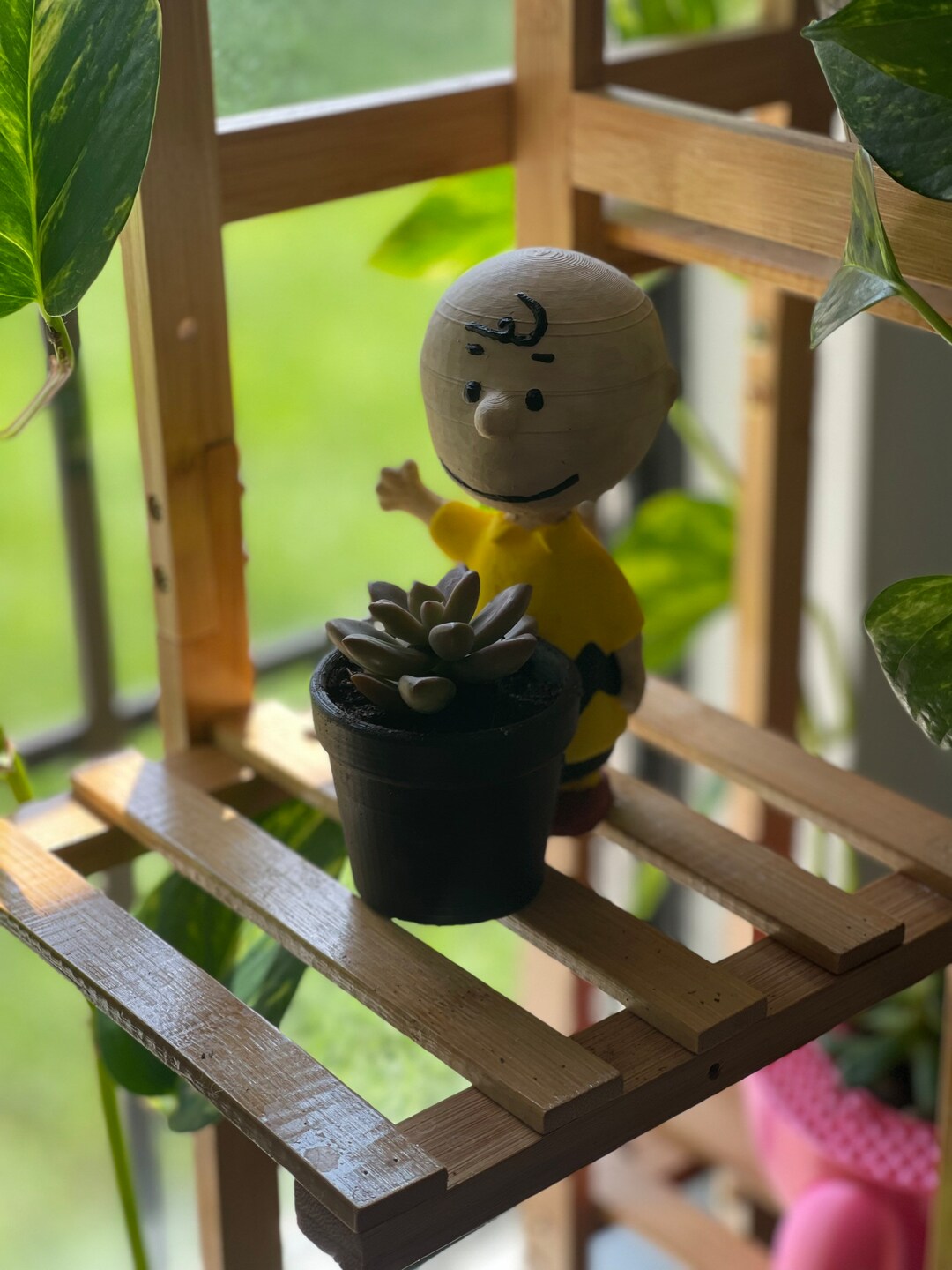 Boy Pot Plant Custom Succulent Stand Indoor Inches Tall - Etsy