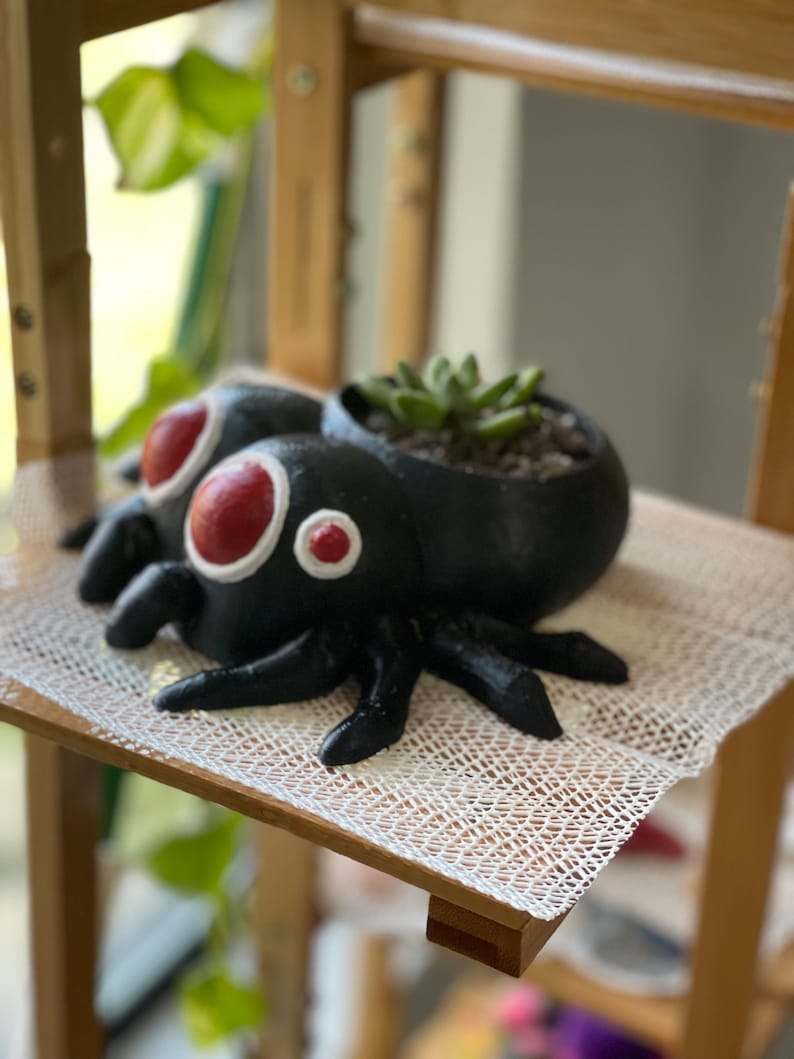 Spider Pot Plant Custom Succulent Stand Indoor Inches Tall - Etsy